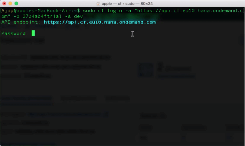 5 Steps To Deploy Application In Sap® Btp Ui5cn Blog